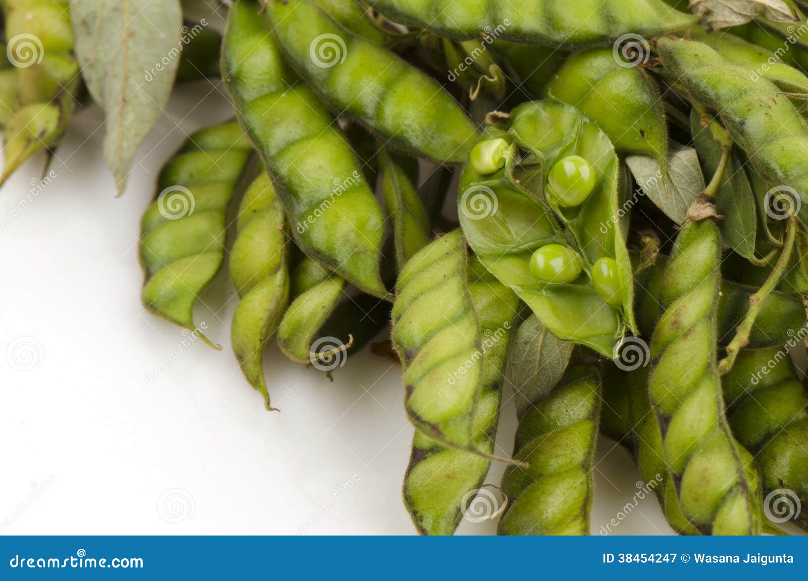 Pois De L'Angola, Pois Du Congo Image stock - Image du fruits, angola ...