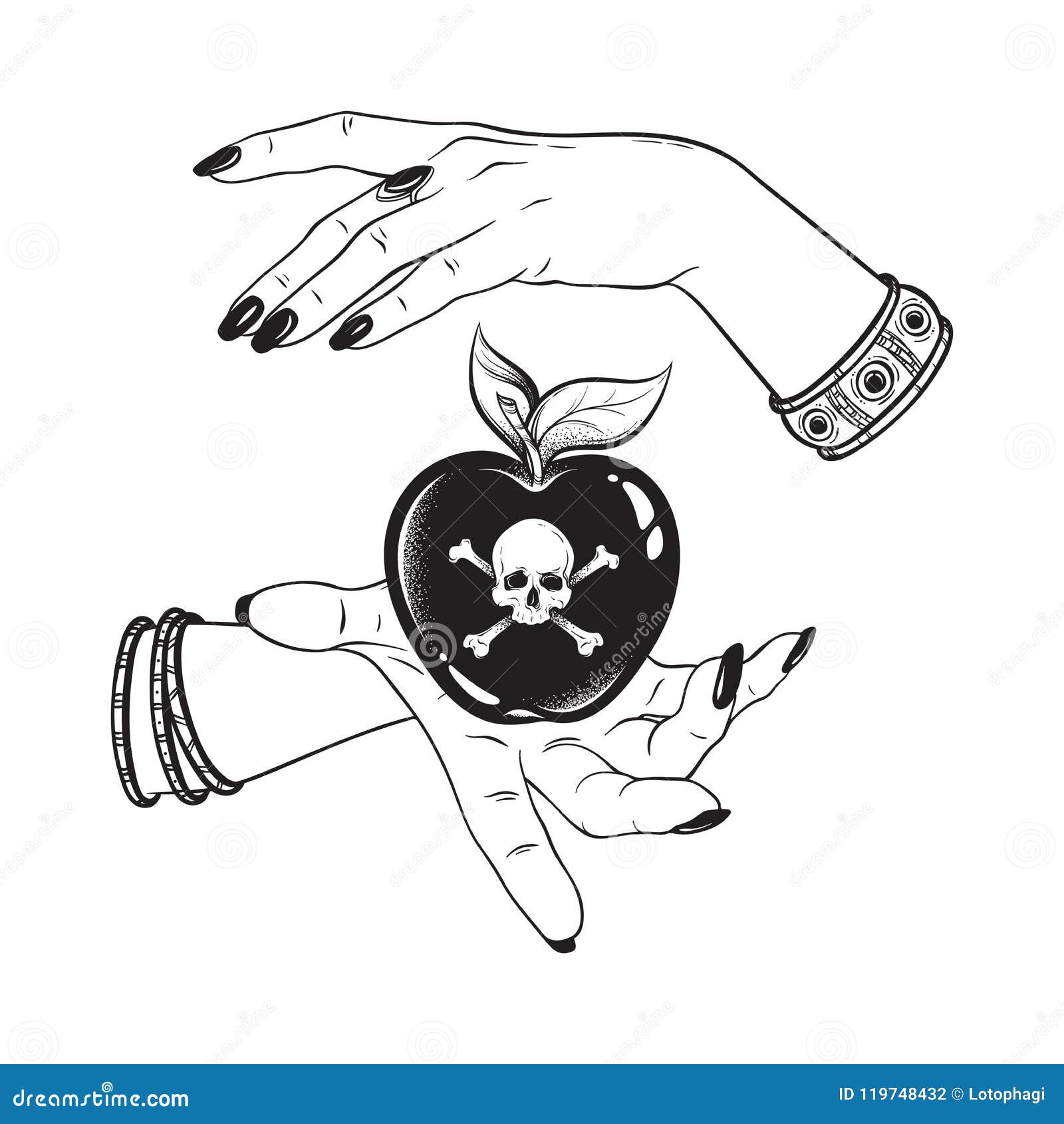 Poison Apple In Hands Of Witch Line Art And Dot Work Hand Drawn Vector ...