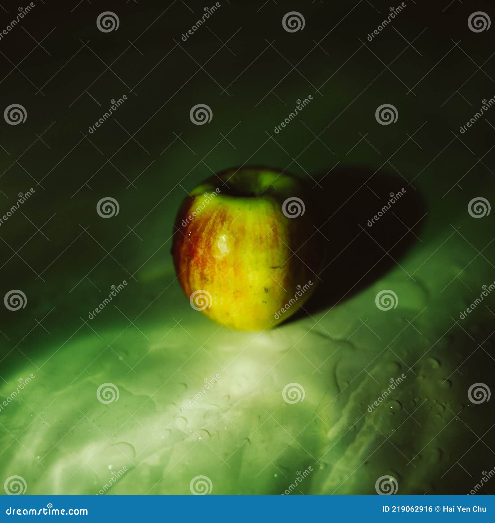 The poison apple stock photo. Image of sunlight, food - 219062916