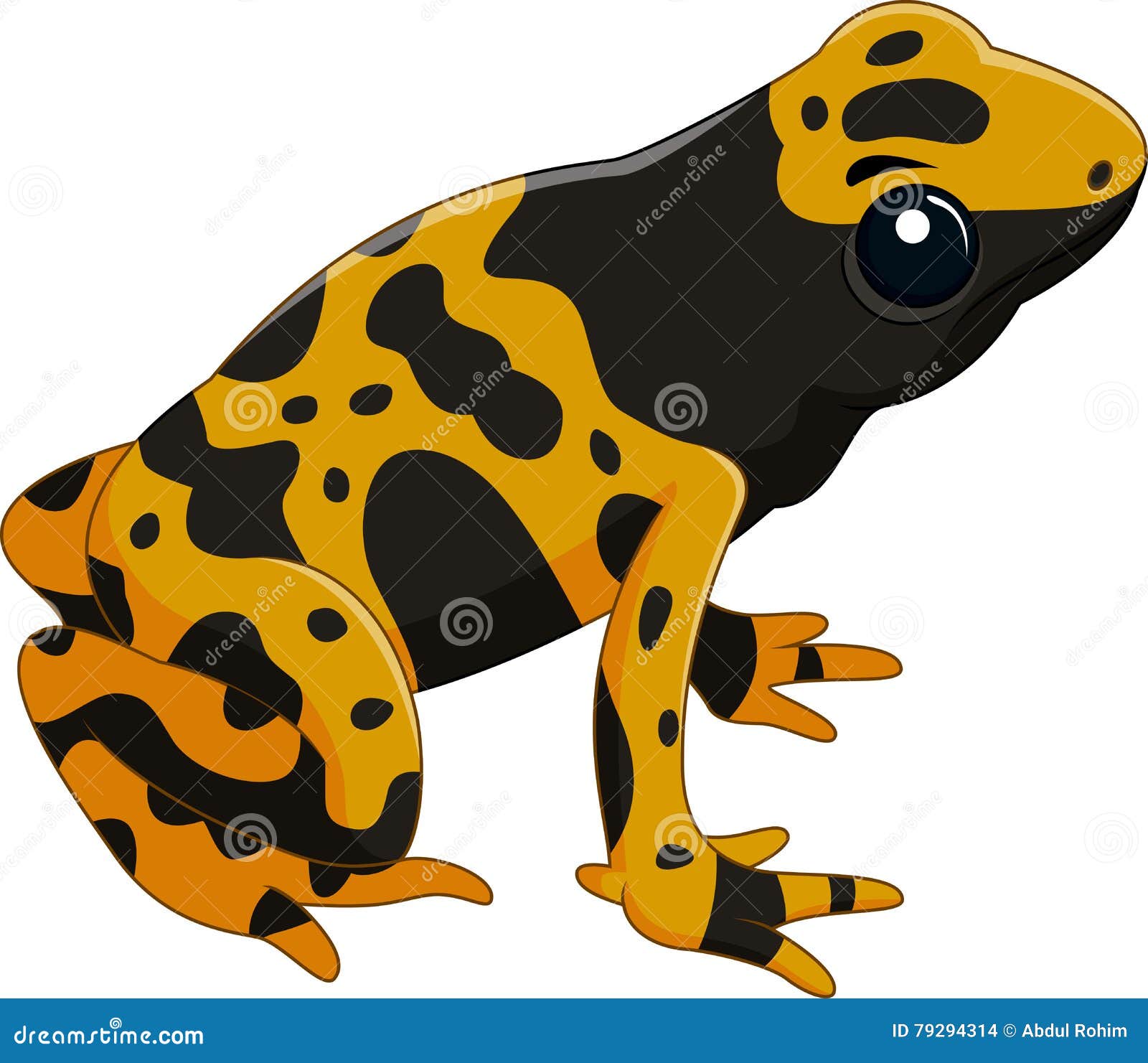 Poison Dart Frog On Palm Tree Leaves. Cartoon Vector | CartoonDealer ...