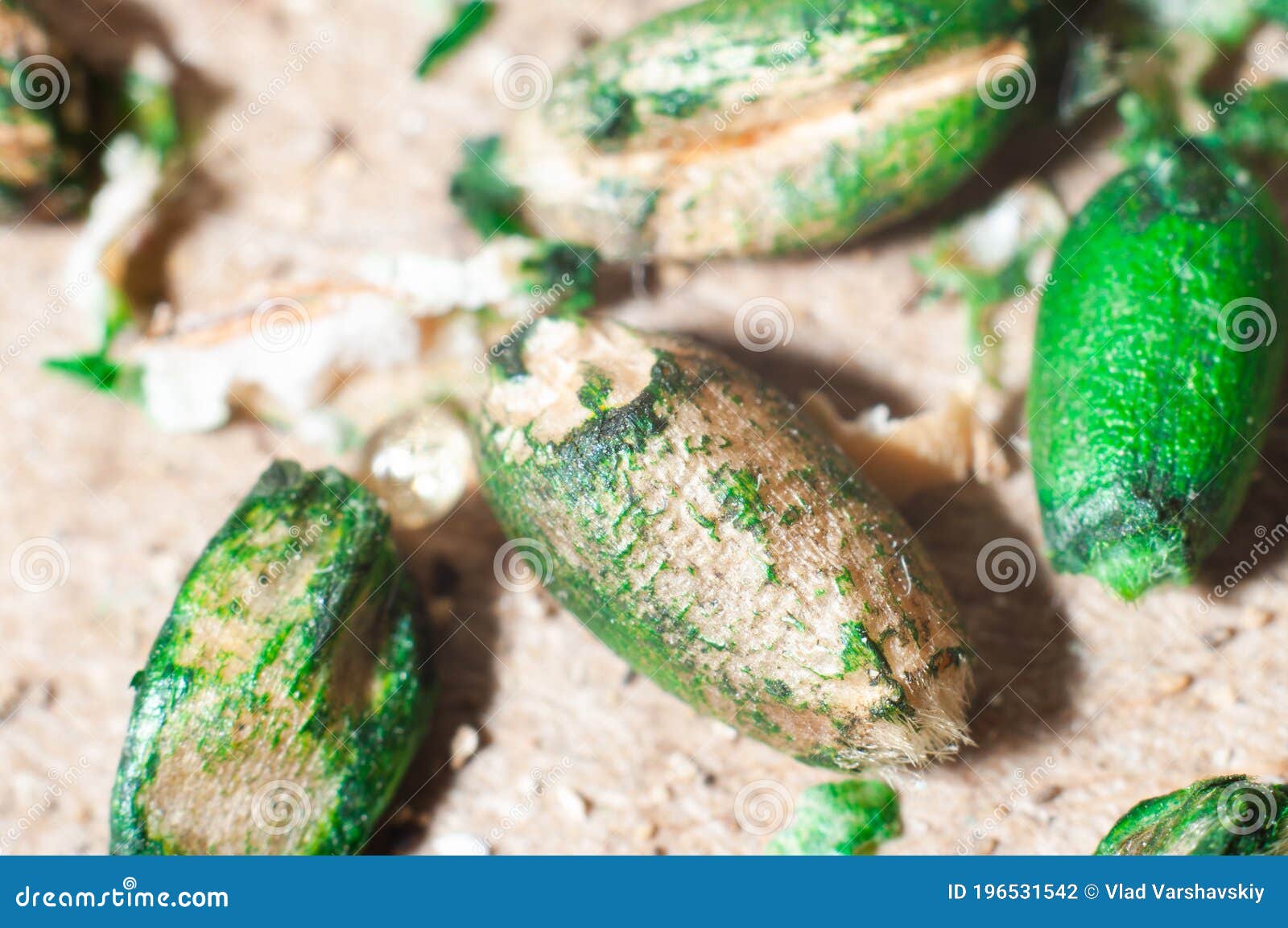 Poison Green for Pests of Rats and Mice, Close-up Stock Photo - Image ...