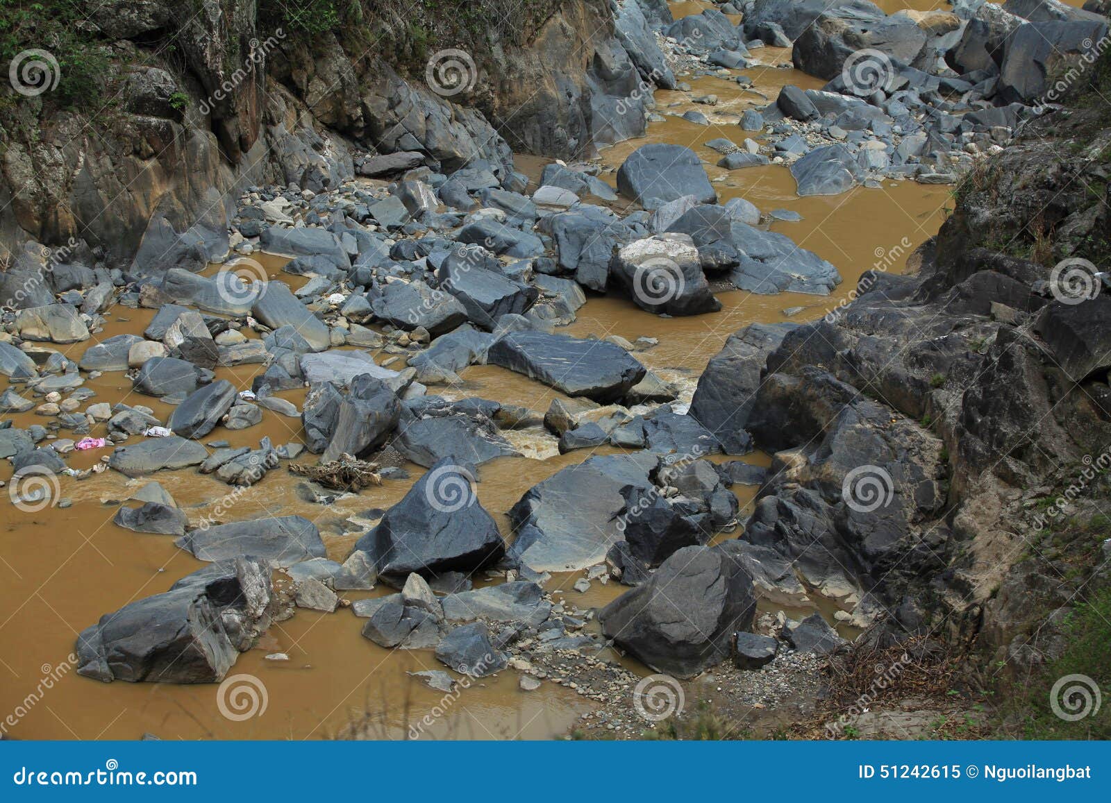 Poison water in nature stock image. Image of contaminate - 51242615