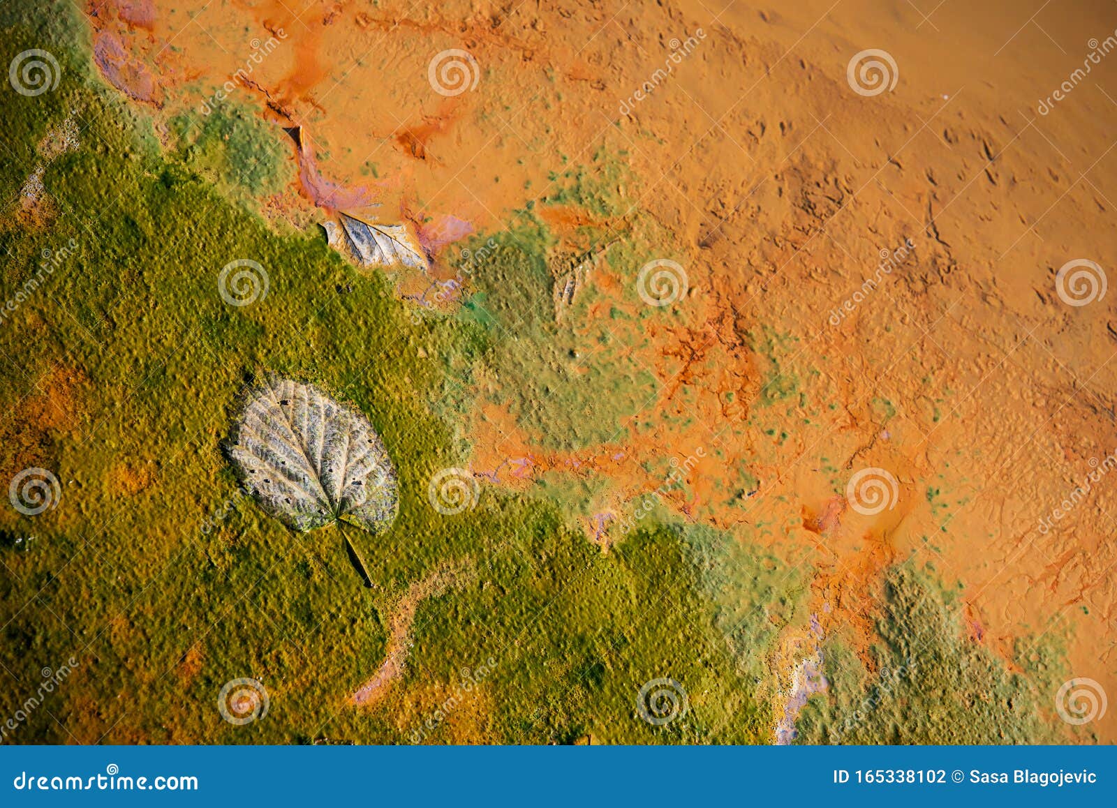 Multicolor Contaminated Soil Stock Photo - Image of lake, environment ...