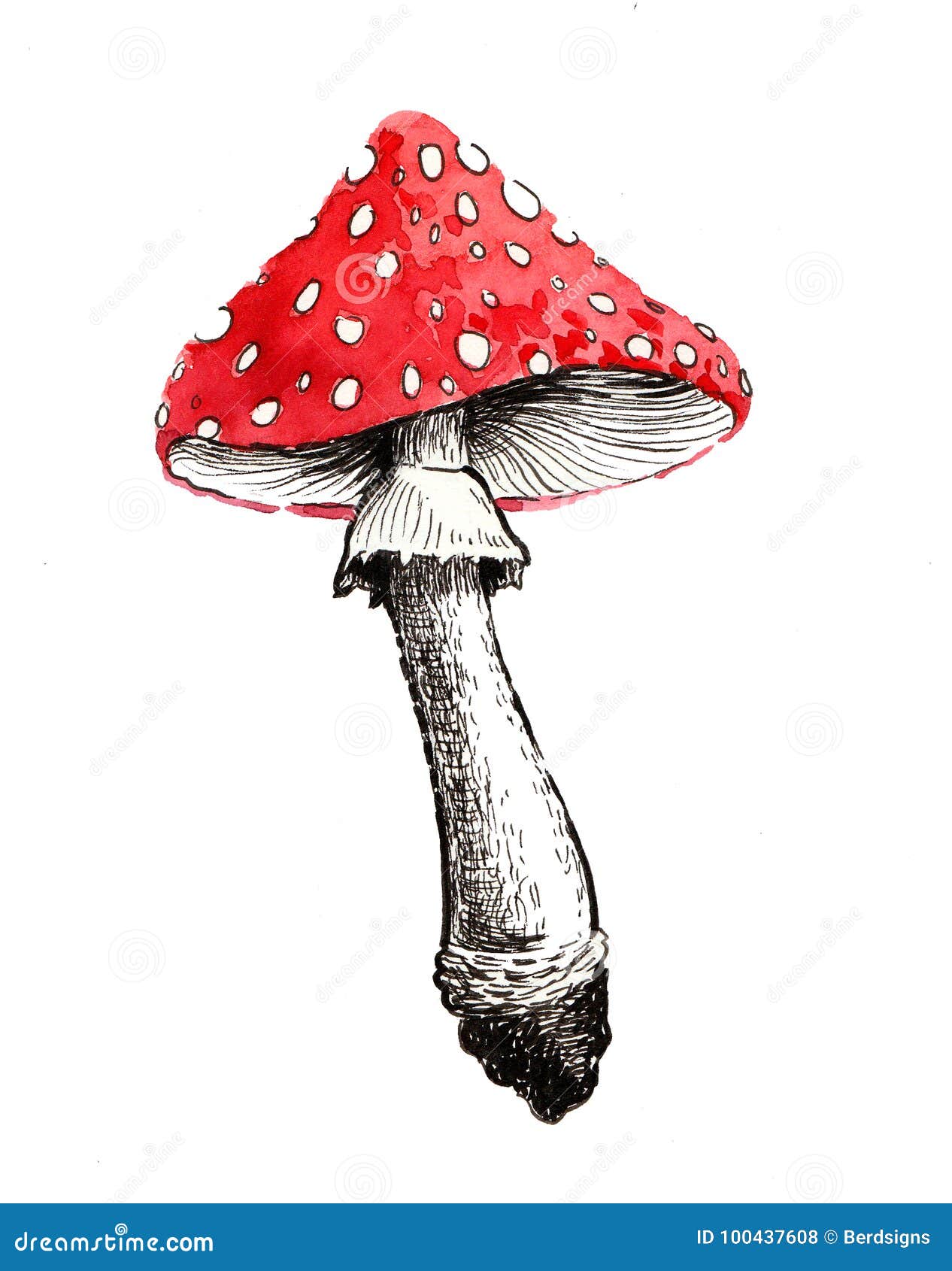 Poisonous Mushroom Hand Drawing Engraving Illustration Cartoon Vector ...