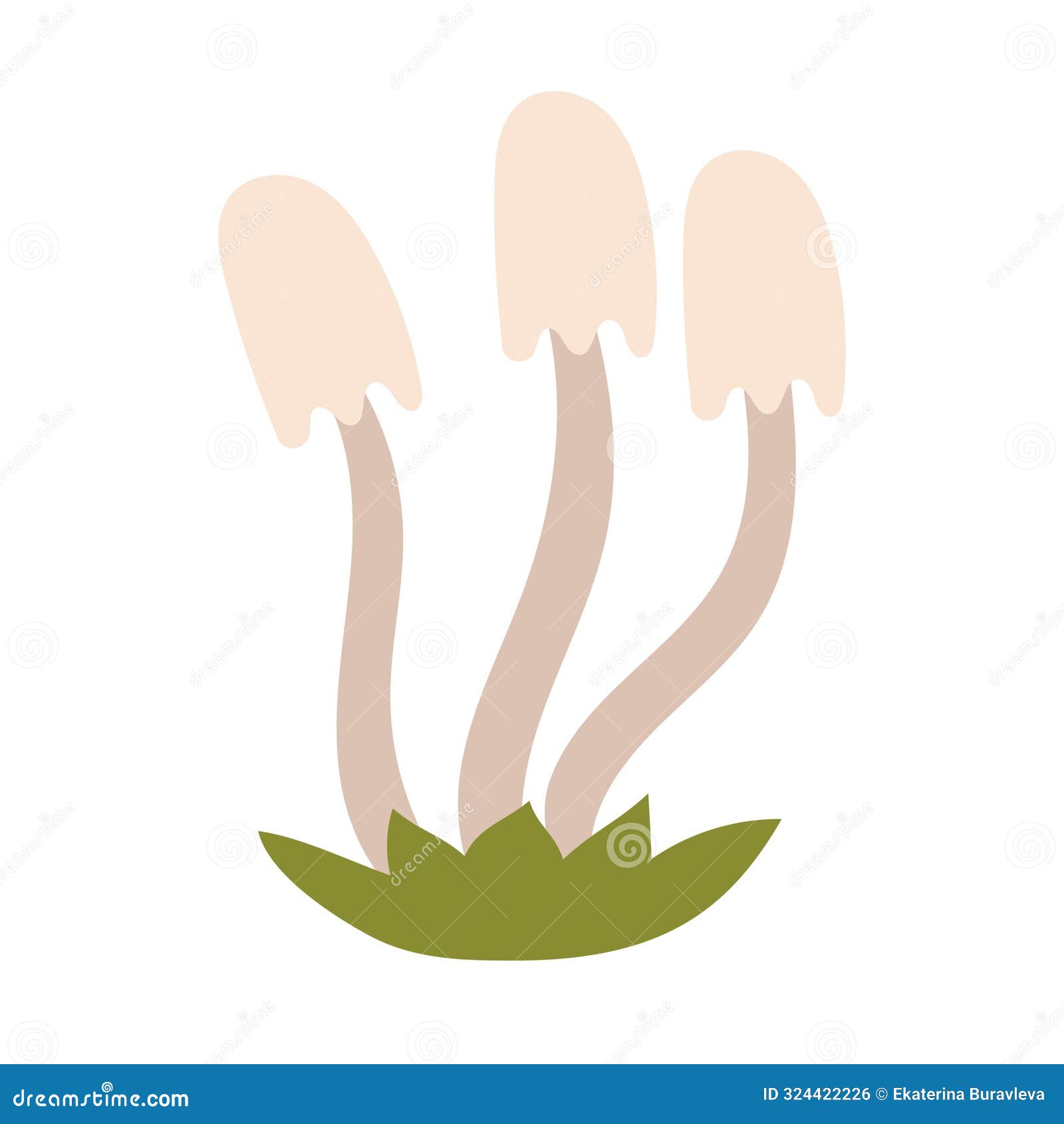 Poisonous Mushrooms Drawn by Hand in a Flat Style. Toadstool Vector Illustration, Icon Stock ...