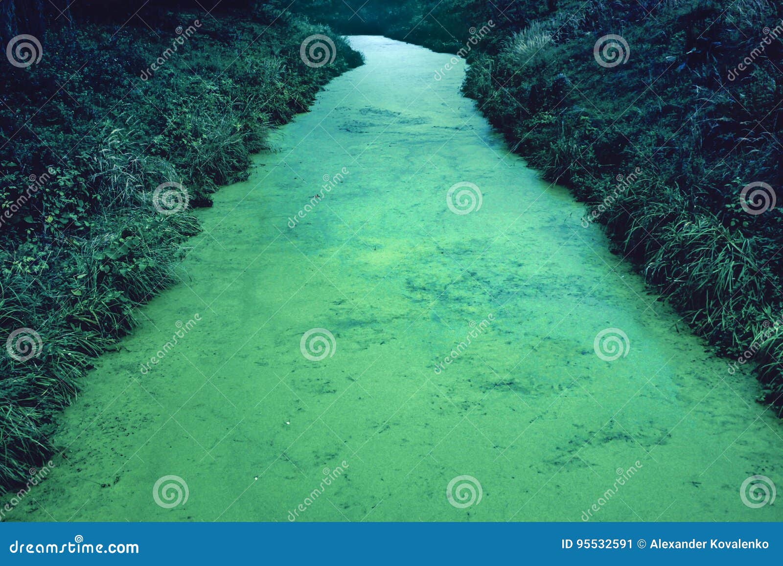 Poisonous River stock image. Image of poisonous, color - 95532591
