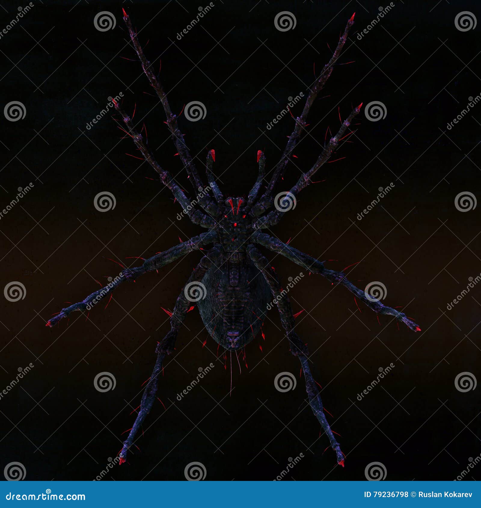 Poisonous spider. stock illustration. Illustration of poison - 79236798