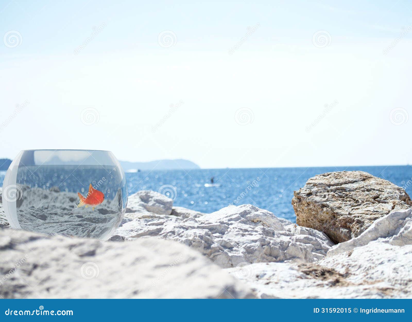 Poisson Rouge Dans Son Aquarium Sur La Plage Image stock - Image du ...