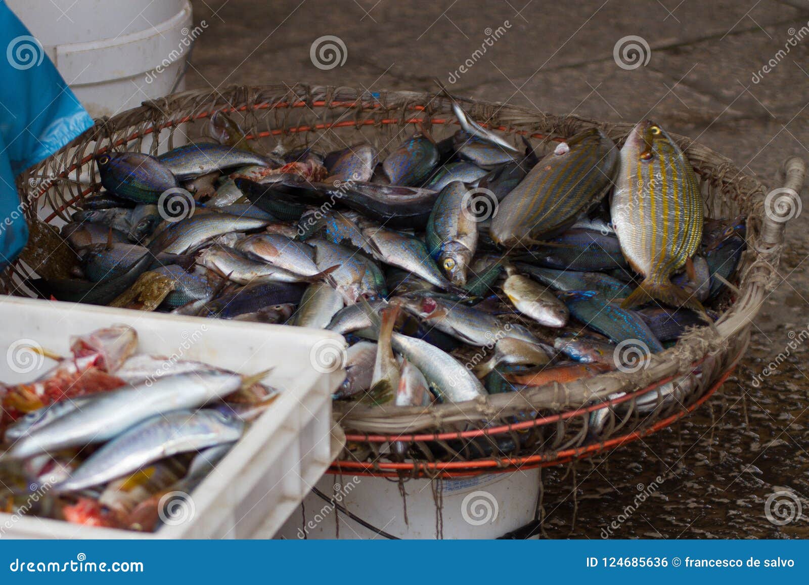 Poissonnerie Antique En Sicile Du Nord Photo stock - Image du frais ...
