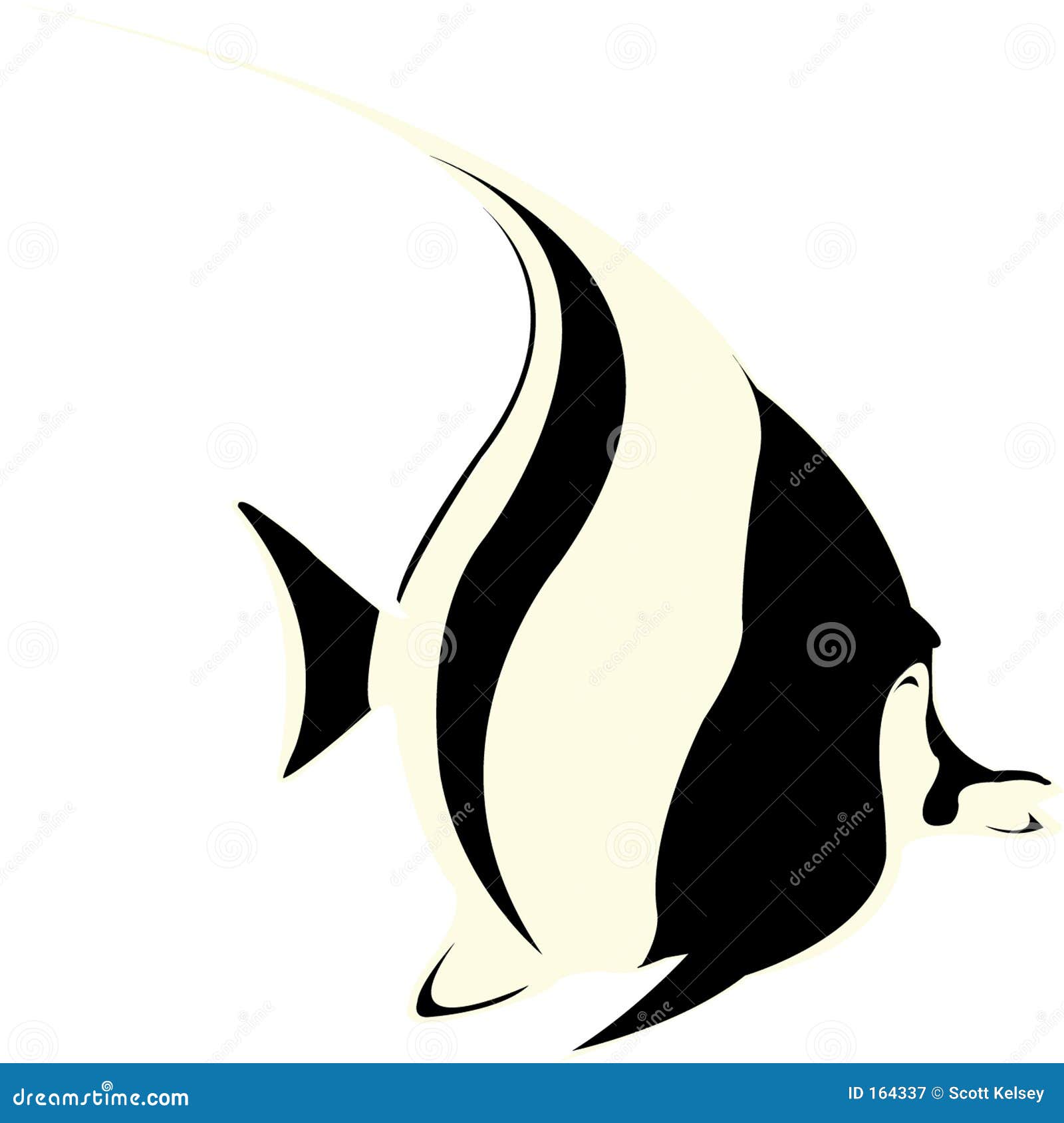 Poissons d'ange illustration stock. Illustration du illustration - 164337