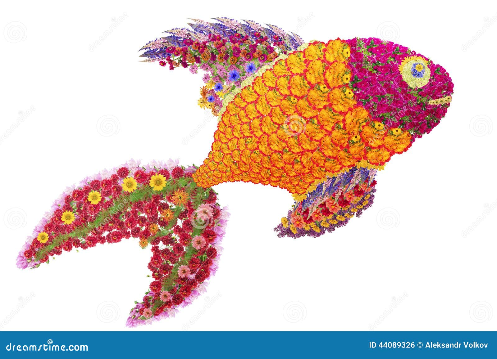 Poissons d'or des fleurs photo stock. Image du créateur - 44089326