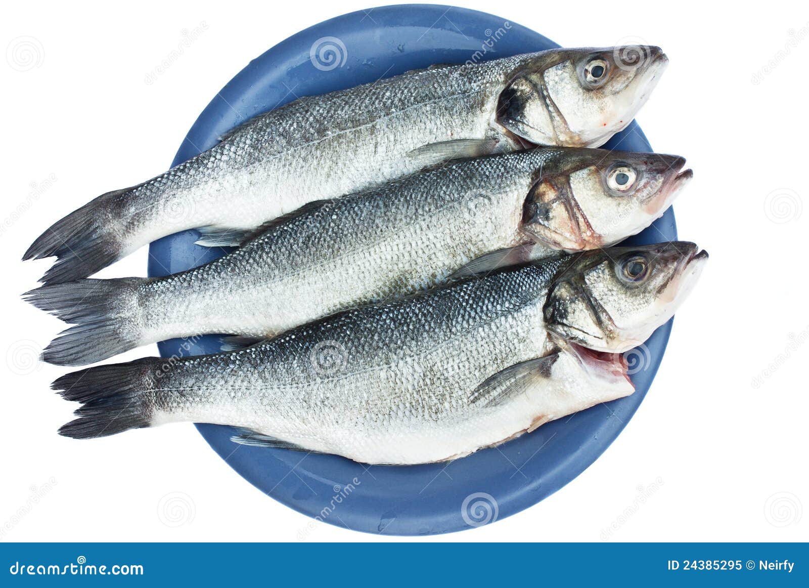 Poissons de bar de mer image stock. Image du méditerranéen - 24385295