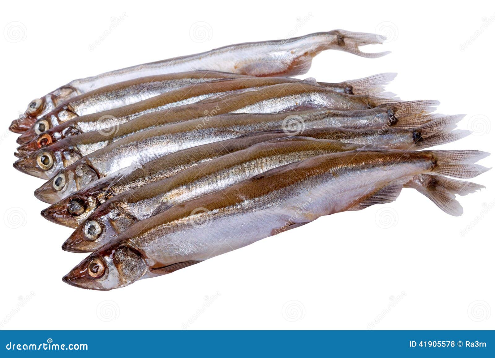 Poissons de capelan photo stock. Image du nature, animaux - 41905578