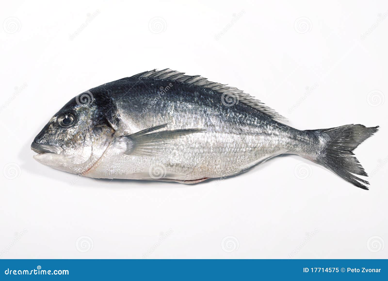 Poissons de dorade image stock. Image du dieting, poissons - 17714575