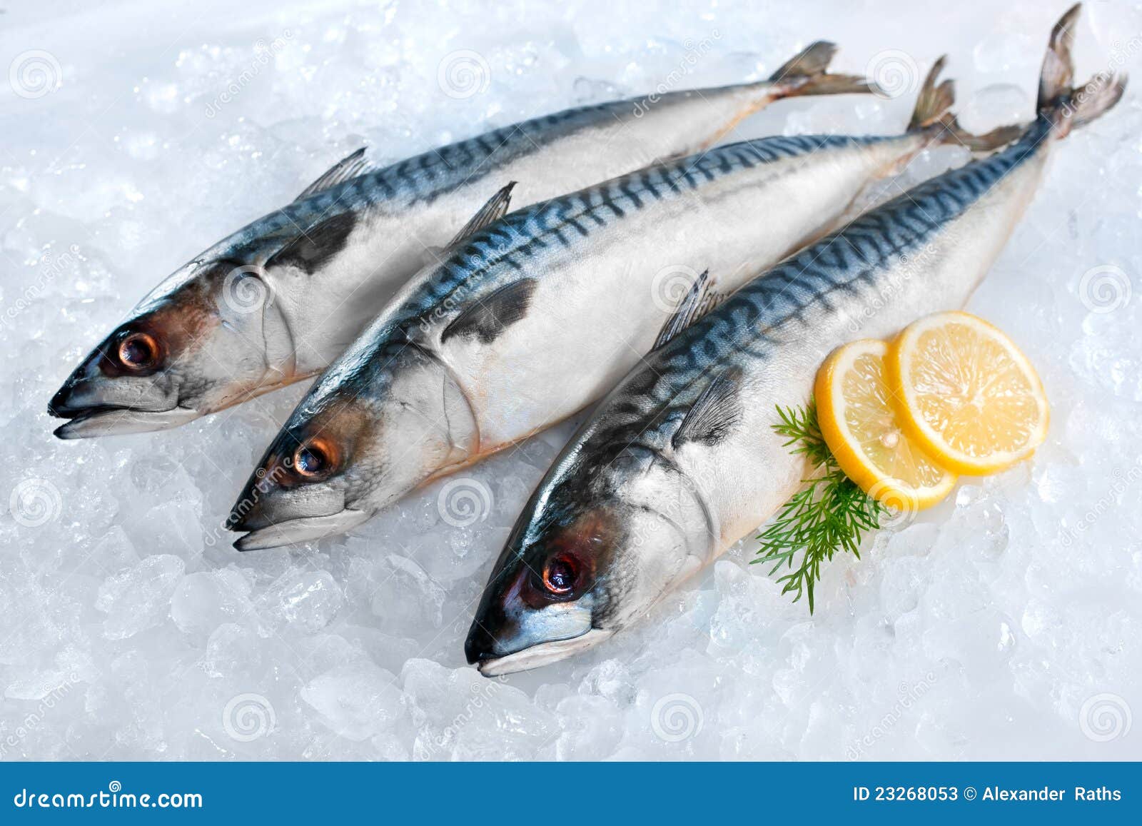 Poissons De Maquereau Sur La Glace Image stock - Image du restaurant ...