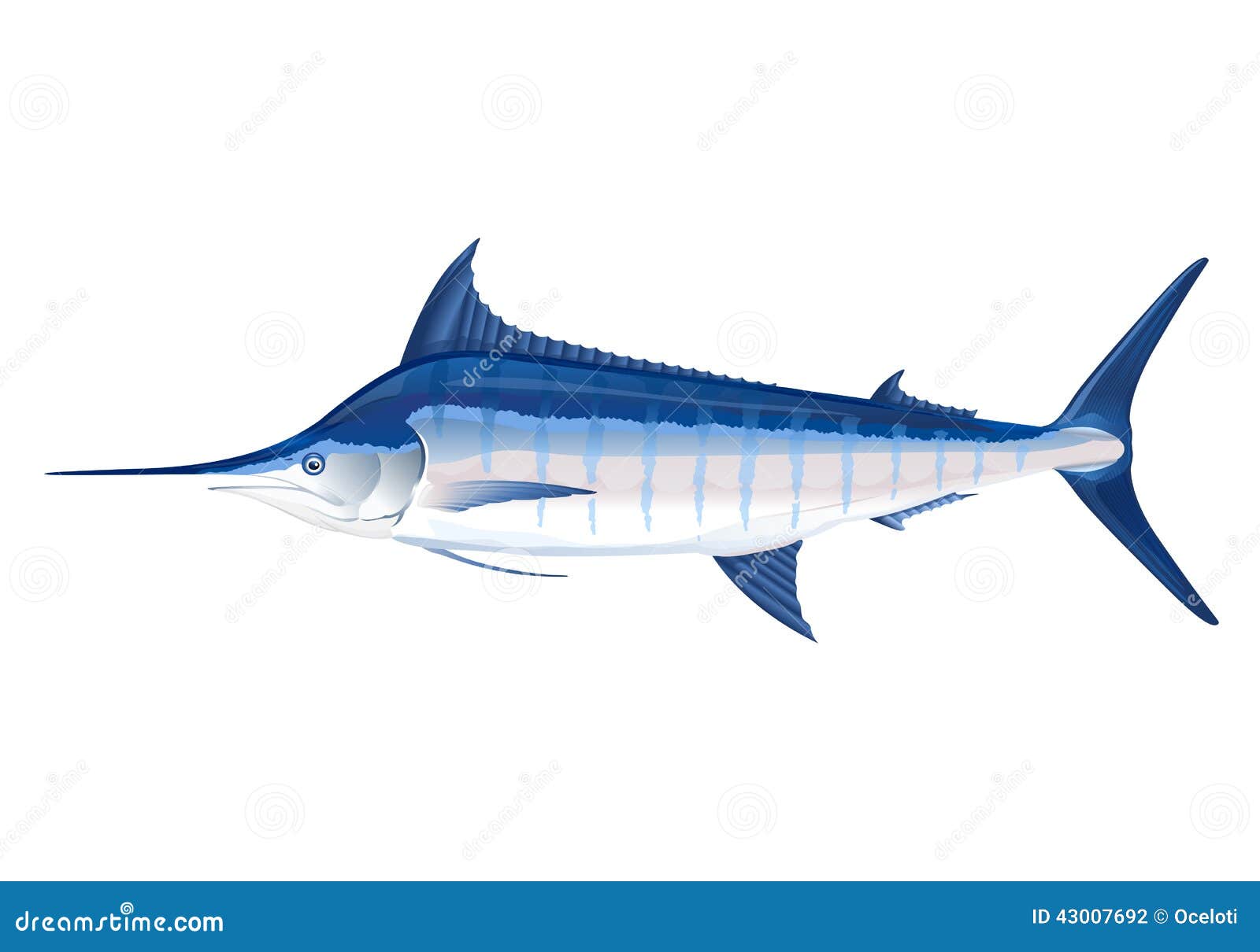 Poissons de marlin bleu illustration de vecteur. Illustration du ...