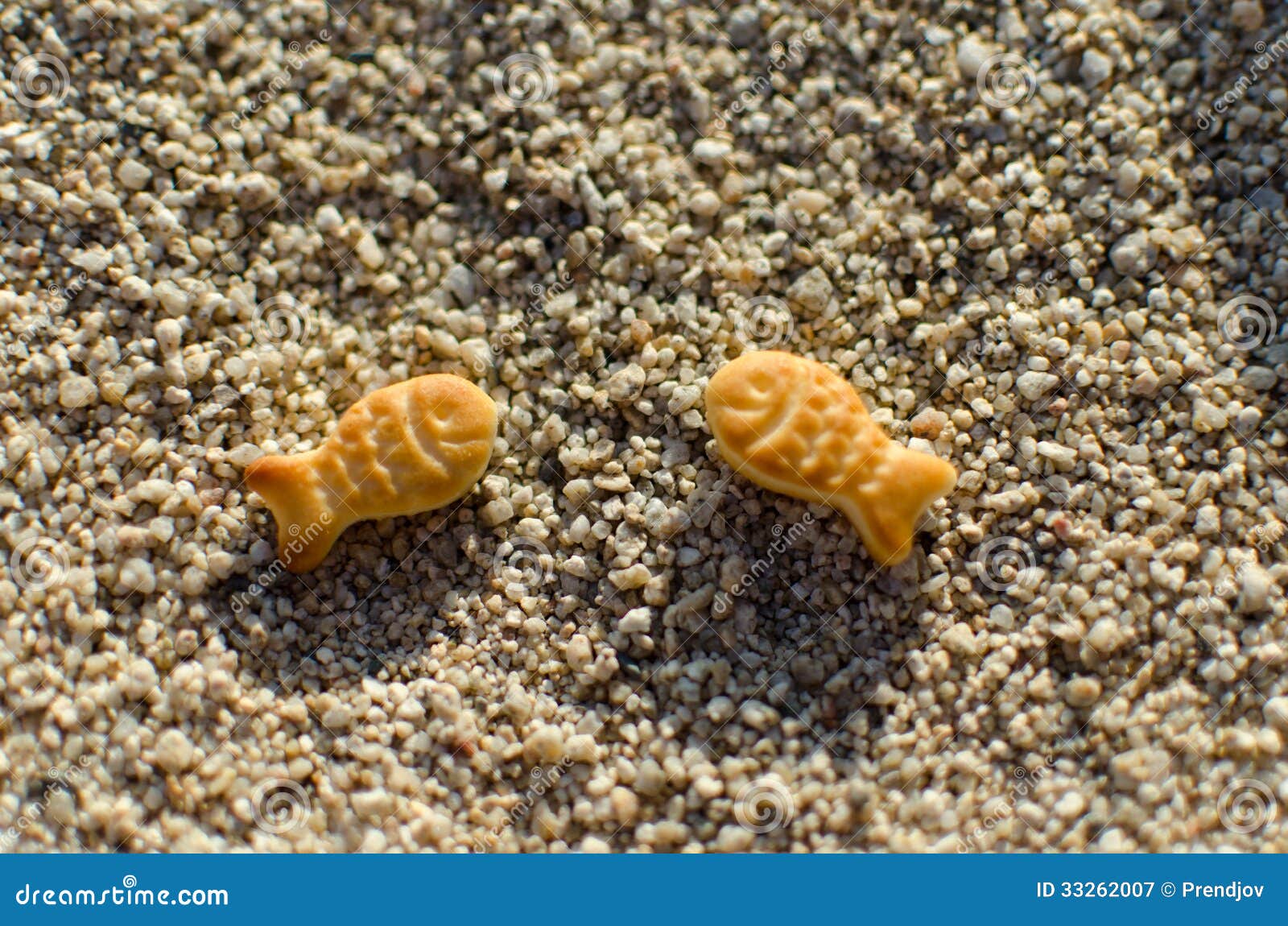 Poissons en sable image stock. Image du poissons, biscuits - 33262007