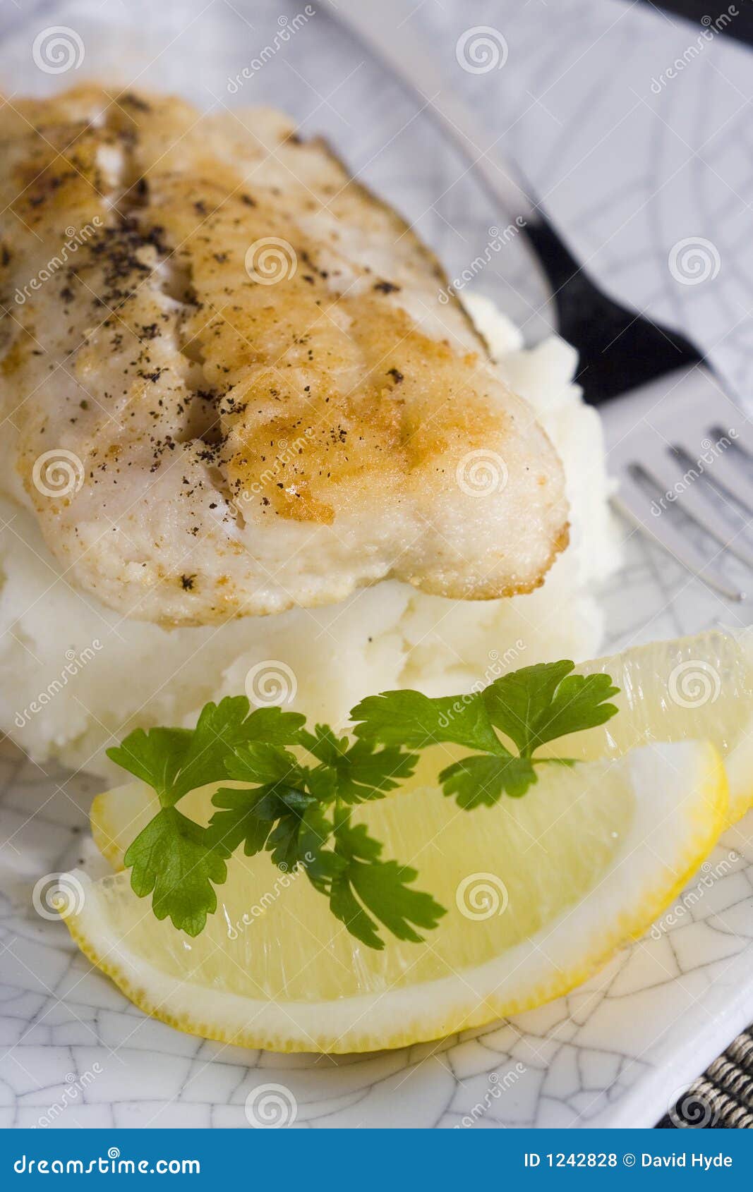 Poissons Et Citron ; Instruction-macro Photo stock - Image du grenadier ...