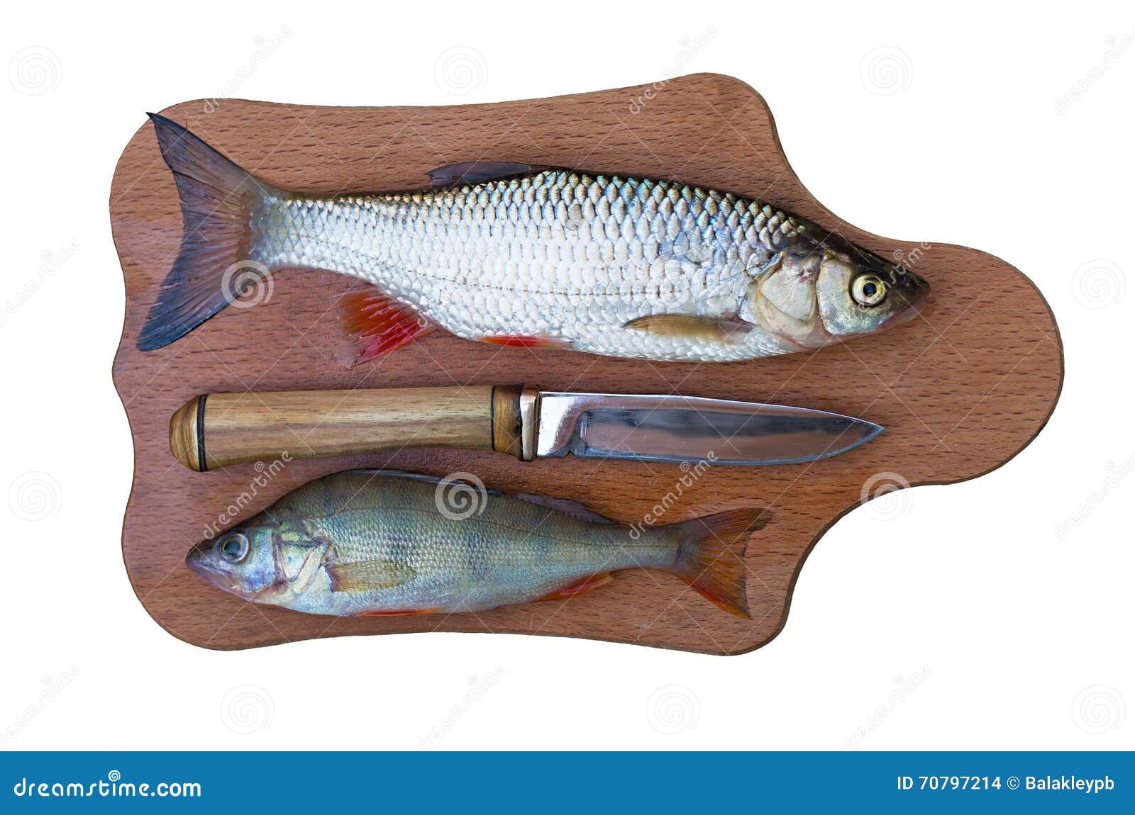 Poissons et couteau photo stock. Image du découpage, isolement - 70797214