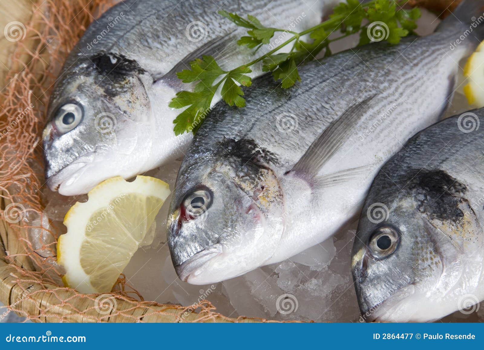 Poissons frais image stock. Image du achat, loquet, seafood - 2864477