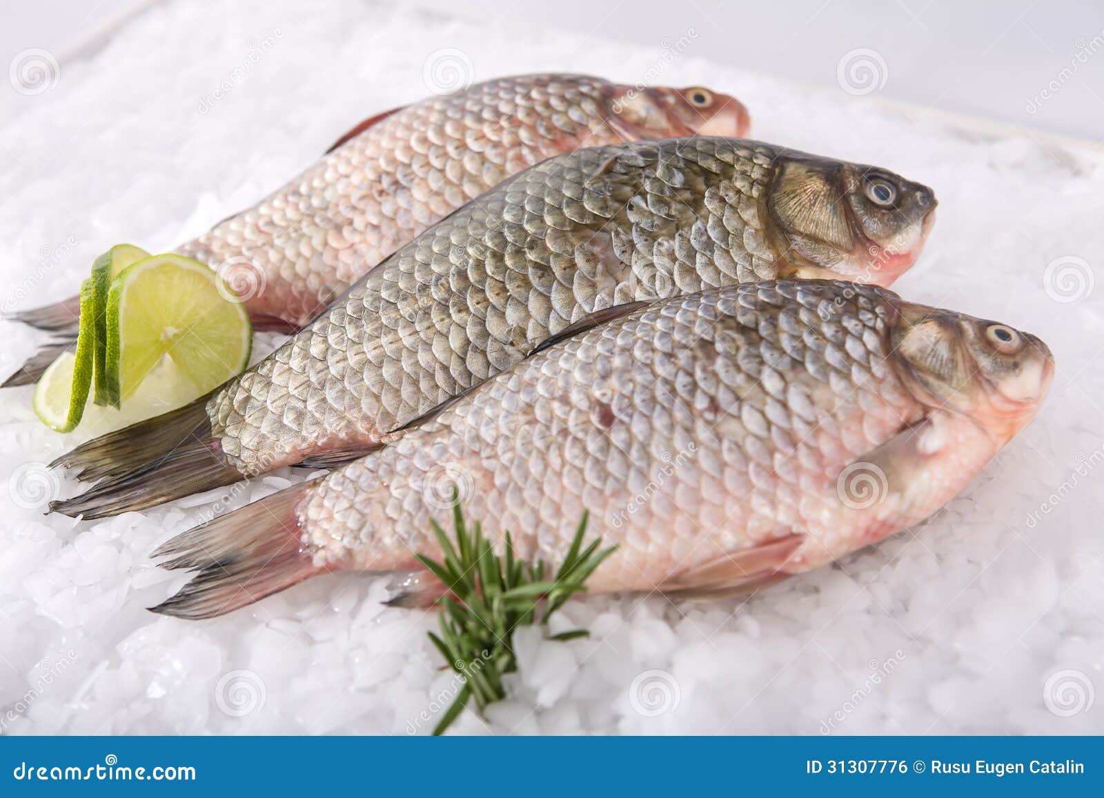 Poissons frais photo stock. Image du différent, maquereau - 31307776