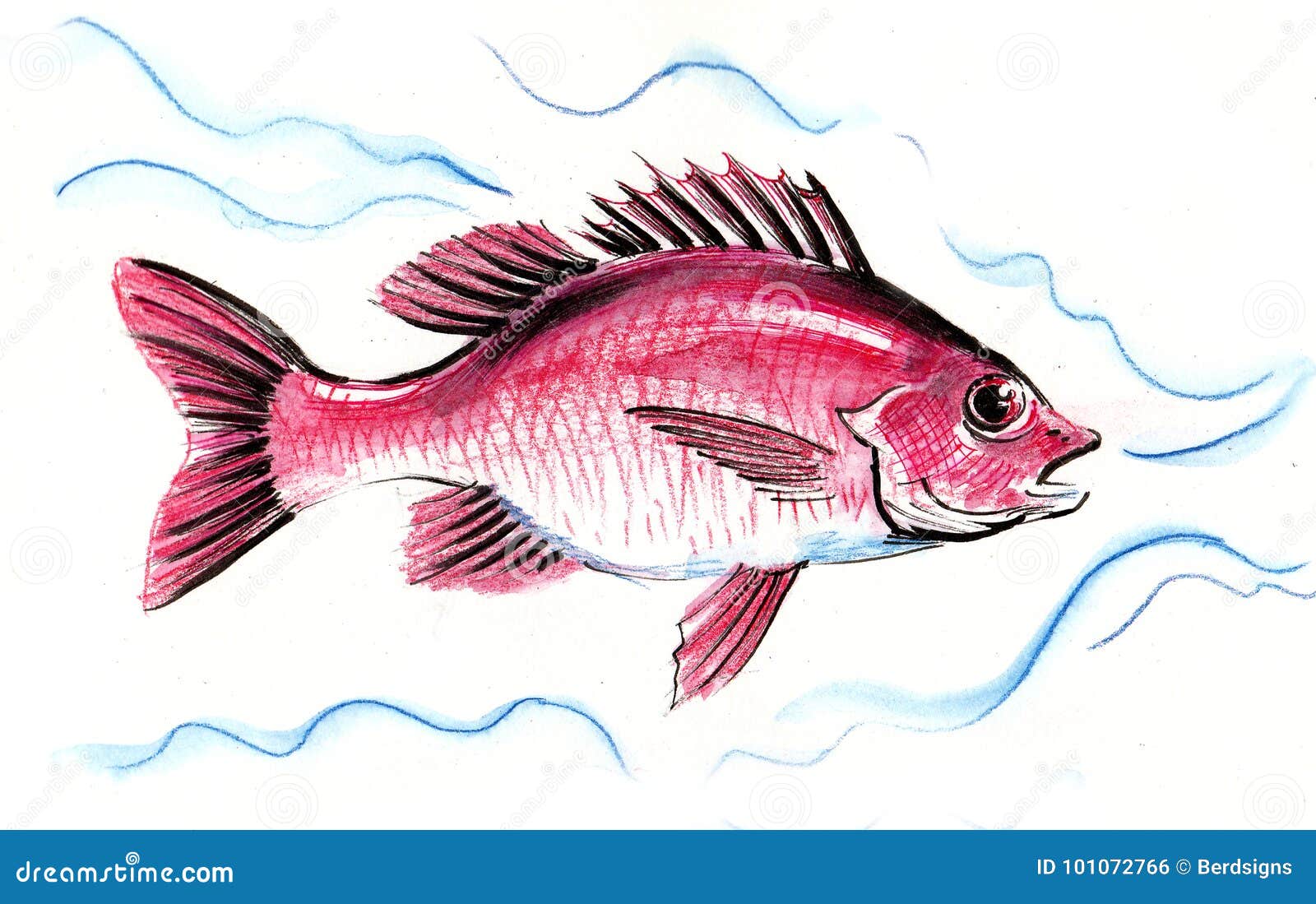 Poissons rouges illustration stock. Illustration of rouge - 101072766