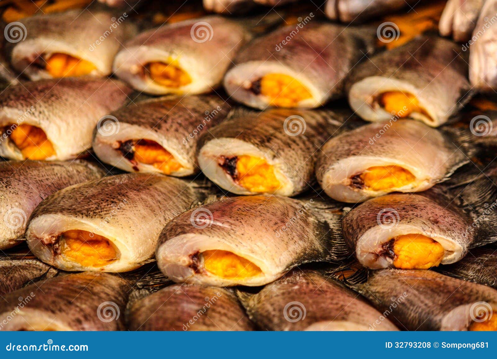 Poissons secs photo stock. Image du culture, groupe, objets - 32793208