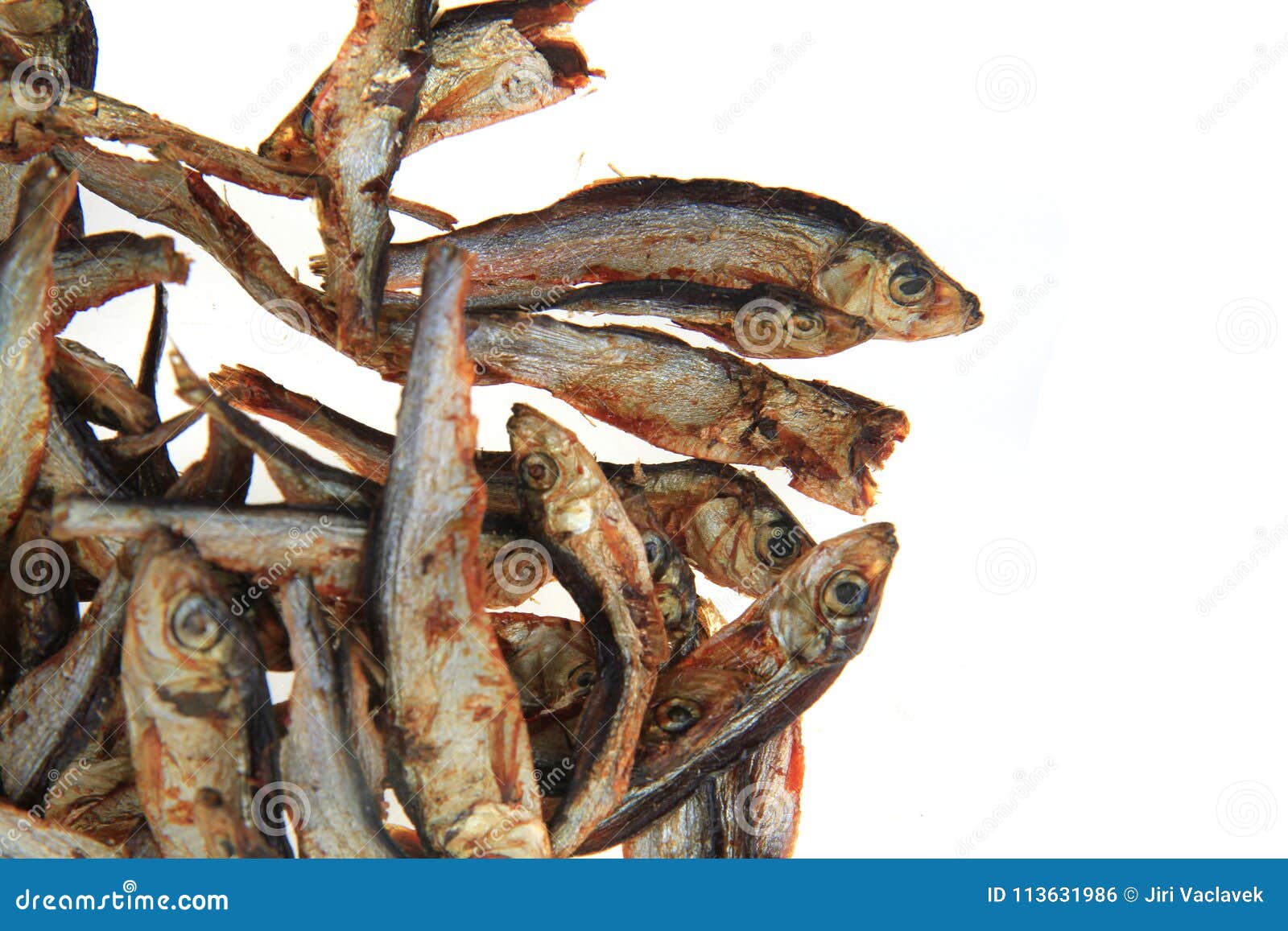 Poissons secs de sardine photo stock. Image du nourriture - 113631986