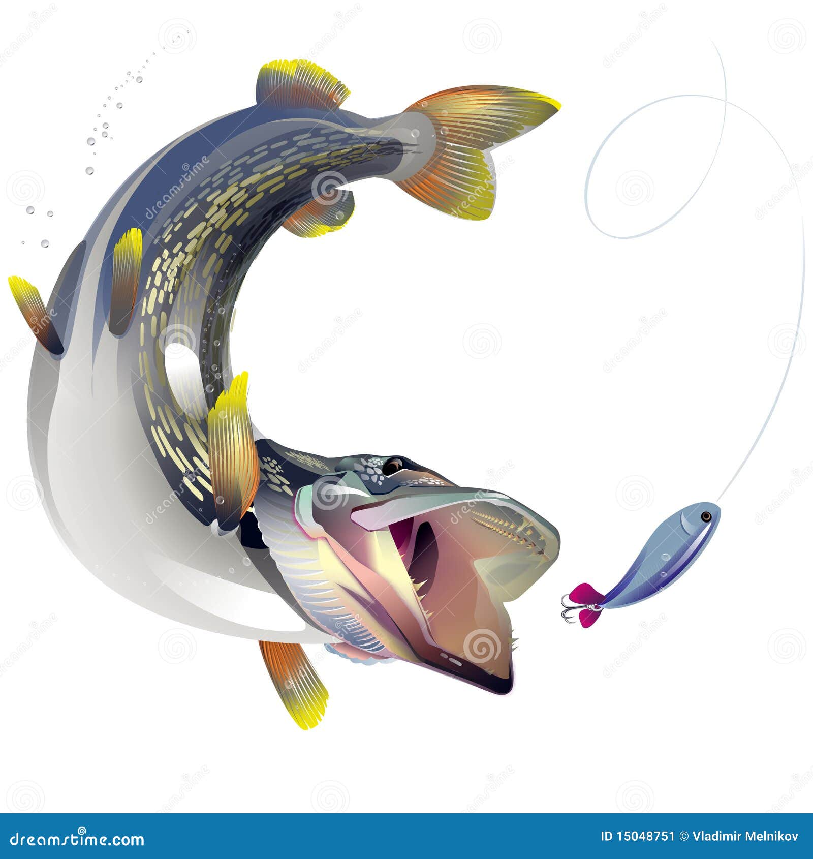 Poissons voraces illustration stock. Illustration du affamé - 15048751