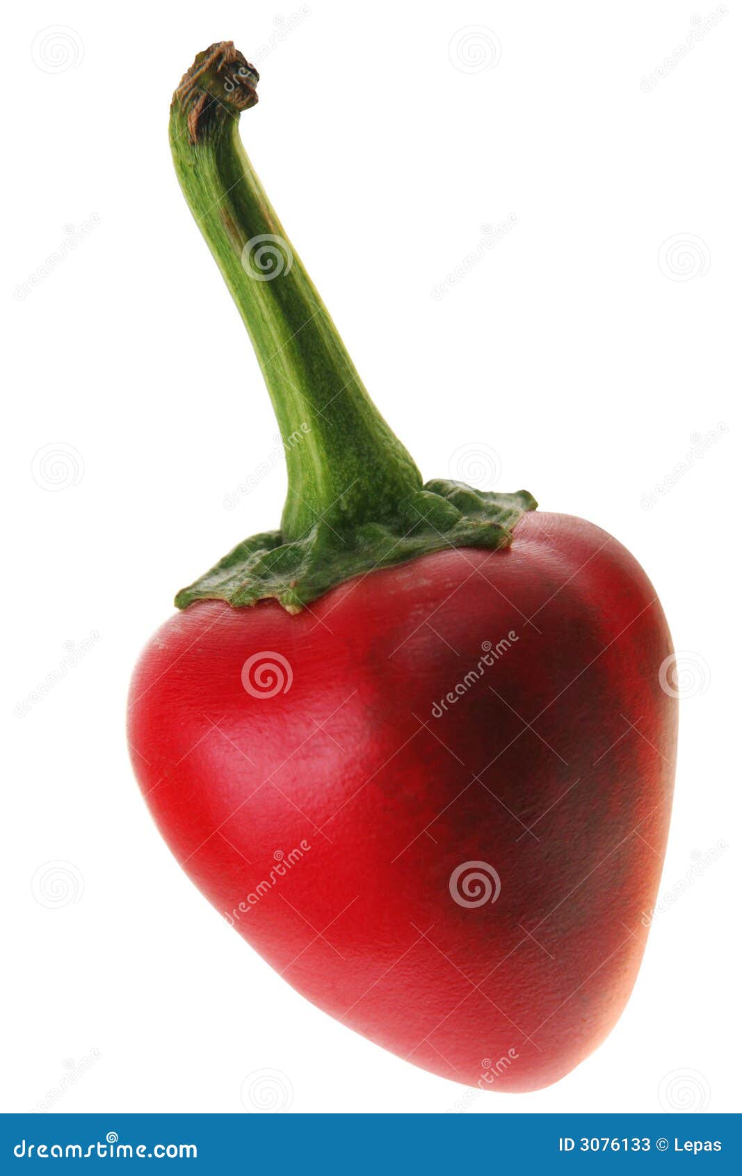 Poivre de /poivron image stock. Image du poivron, nutrition - 3076133