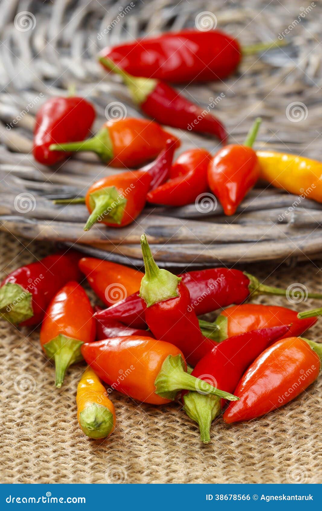 Poivrons De Piment D'un Rouge Ardent Photo stock - Image du coloré ...