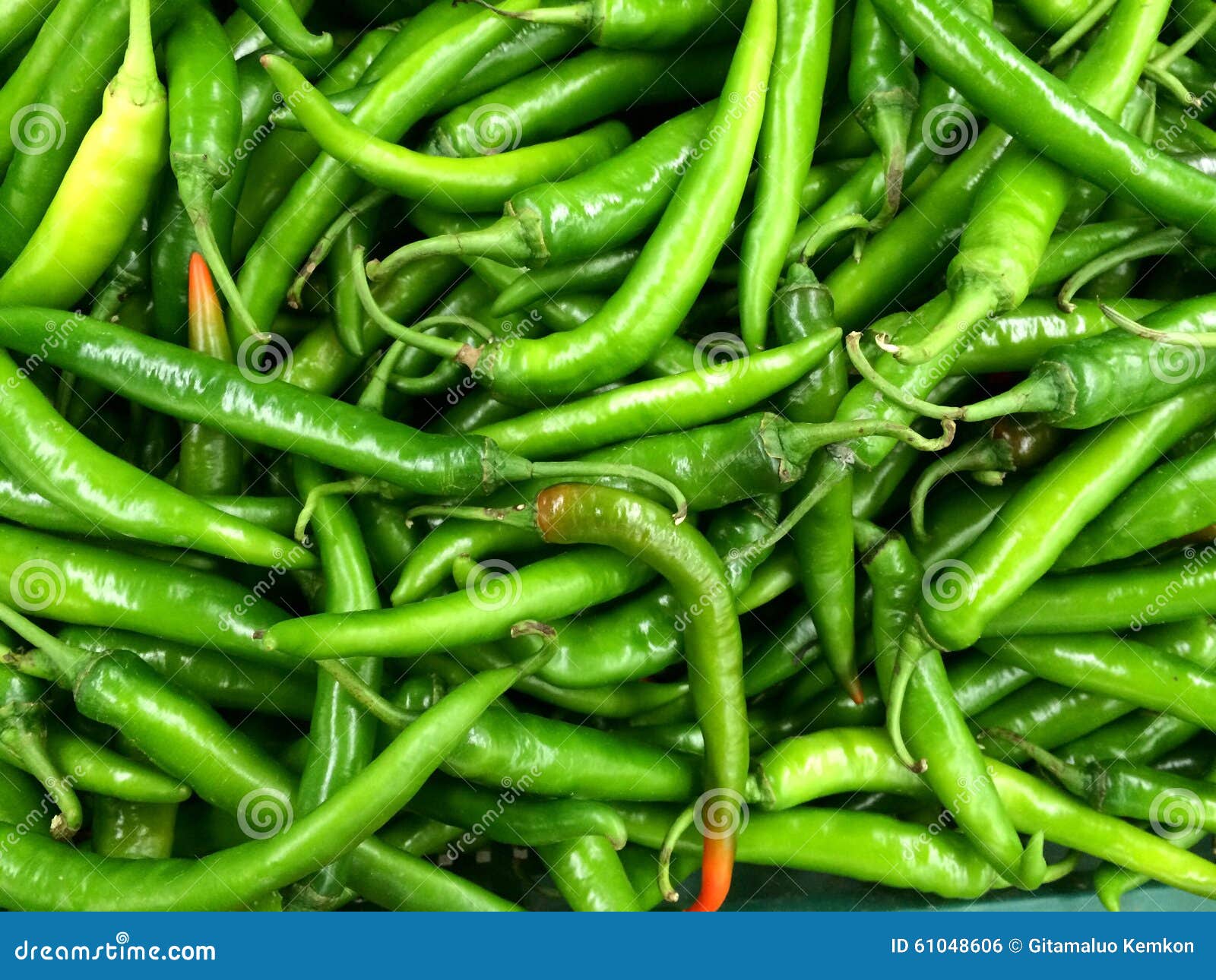 Poivrons de piments rouges photo stock. Image du légume - 61048606
