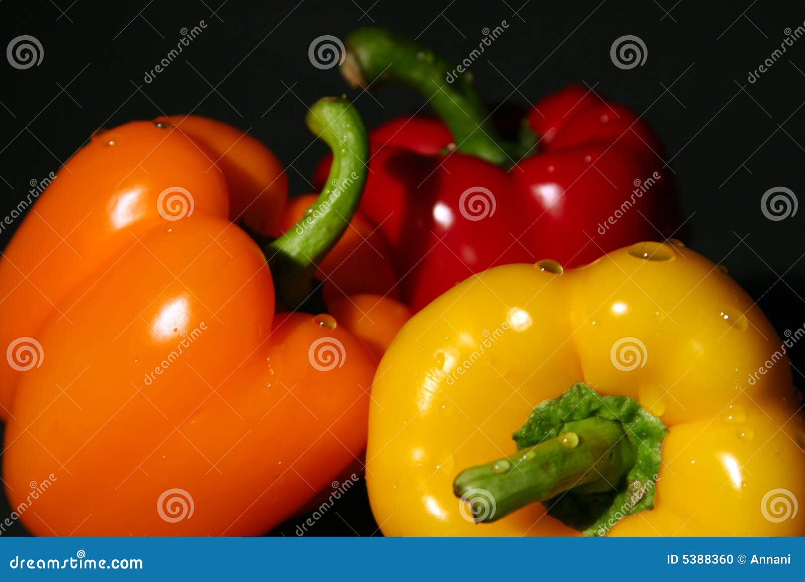 Poivrons doux photo stock. Image du légumes, frais, poivre - 5388360