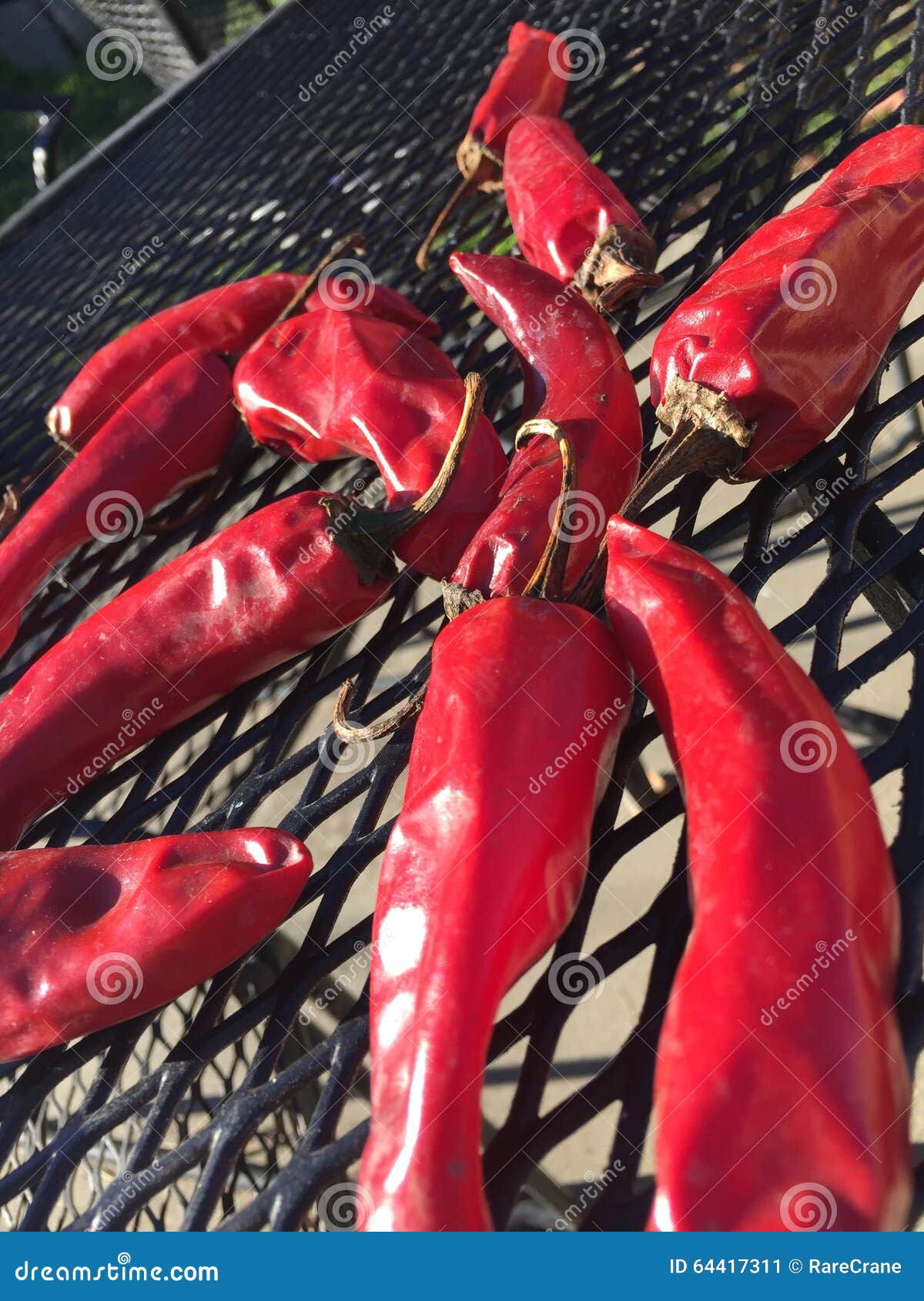 Poivrons rouges image stock. Image du soleil, chili, rouge - 64417311