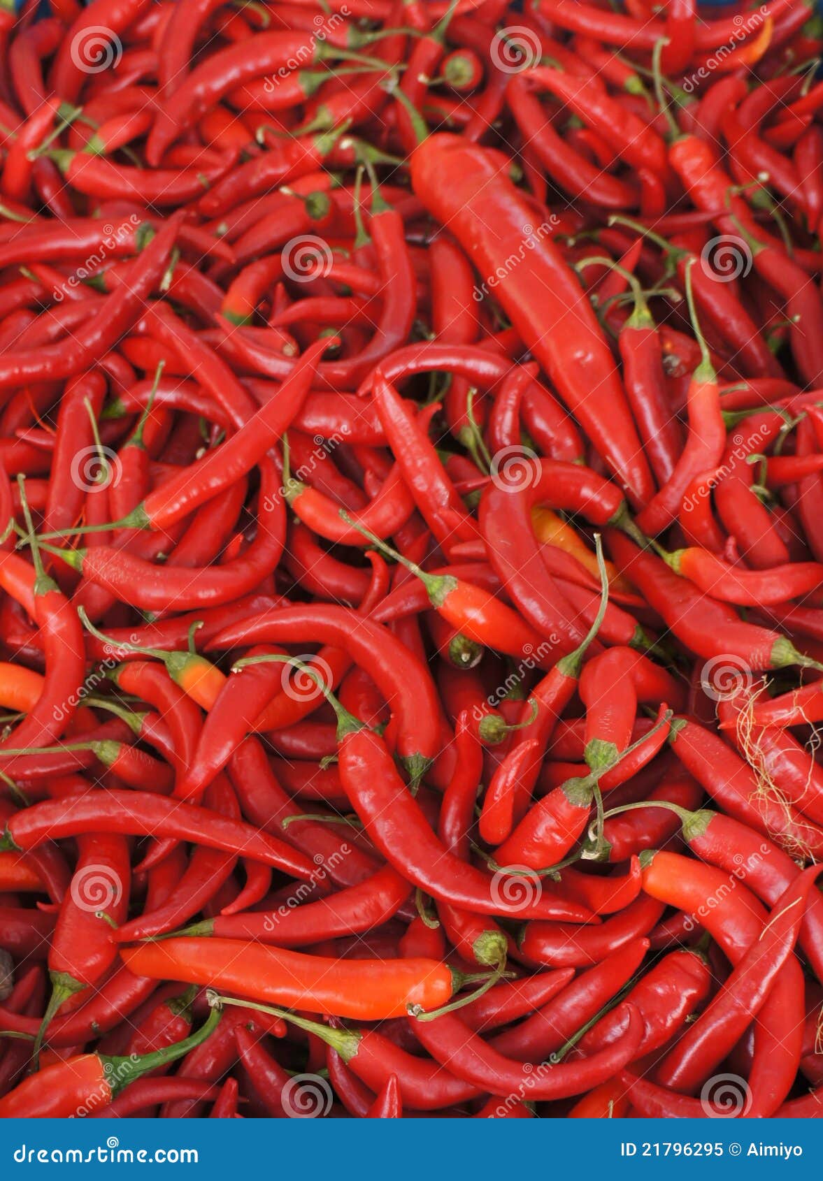 Poivrons rouges du Chili image stock. Image du frais - 21796295