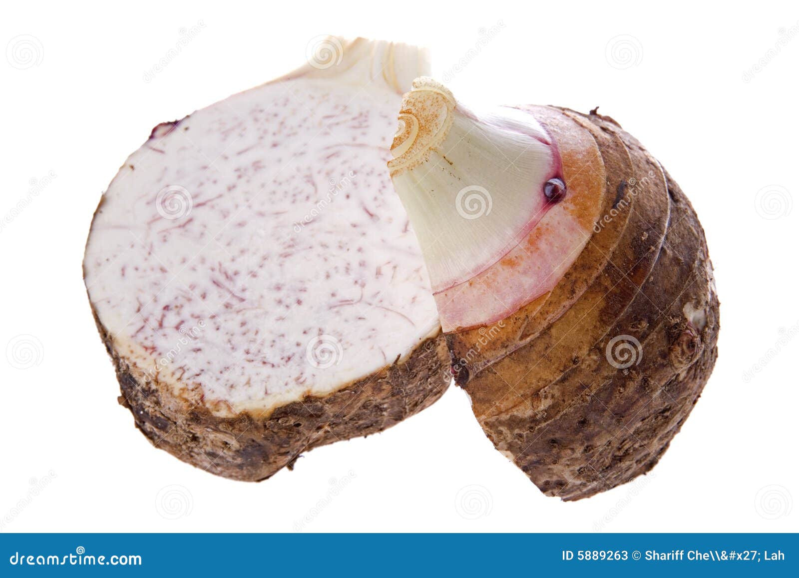 Pojedynczy ignam obraz stock. Obraz złożonej z greenbacks - 5889263