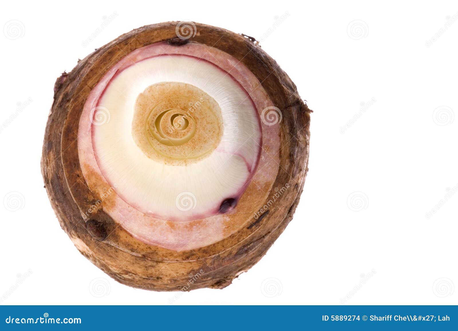 Pojedynczy ignam zdjęcie stock. Obraz złożonej z rolnictwo - 5889274