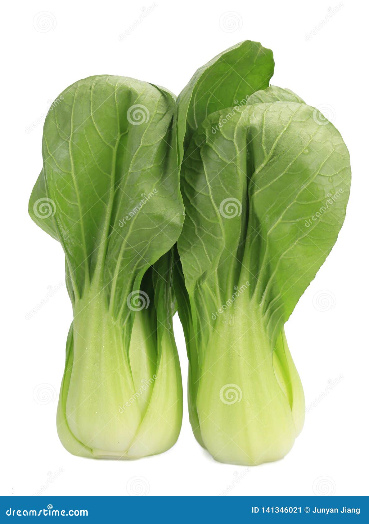 Pok Choi stock image. Image of salad, eating, plant - 141346021