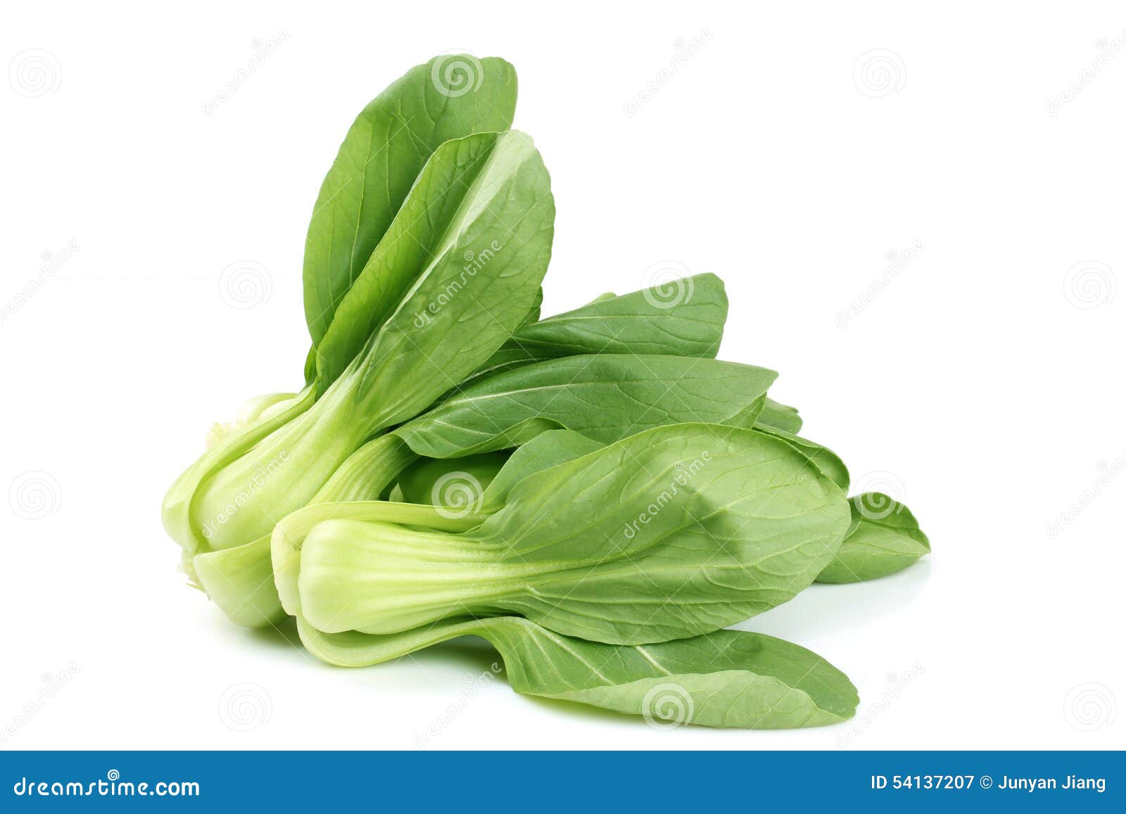 Pok Choi stock image. Image of diet, full, front, nutrition - 54137207