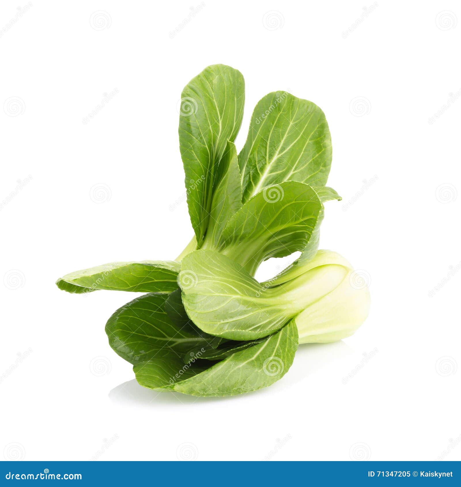 Pok Choi on White Background Stock Image - Image of kitchen, healthy ...