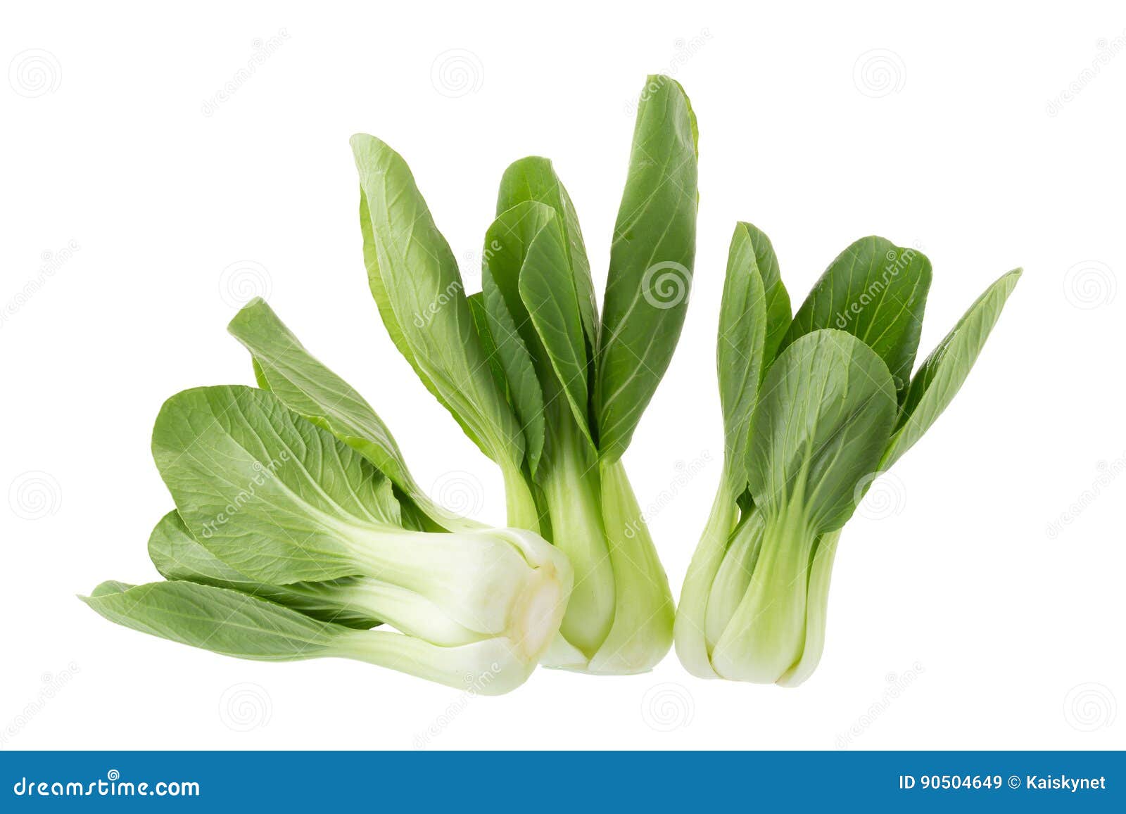 Pok Choy Isolated on White Background. Stock Image - Image of nutrition ...