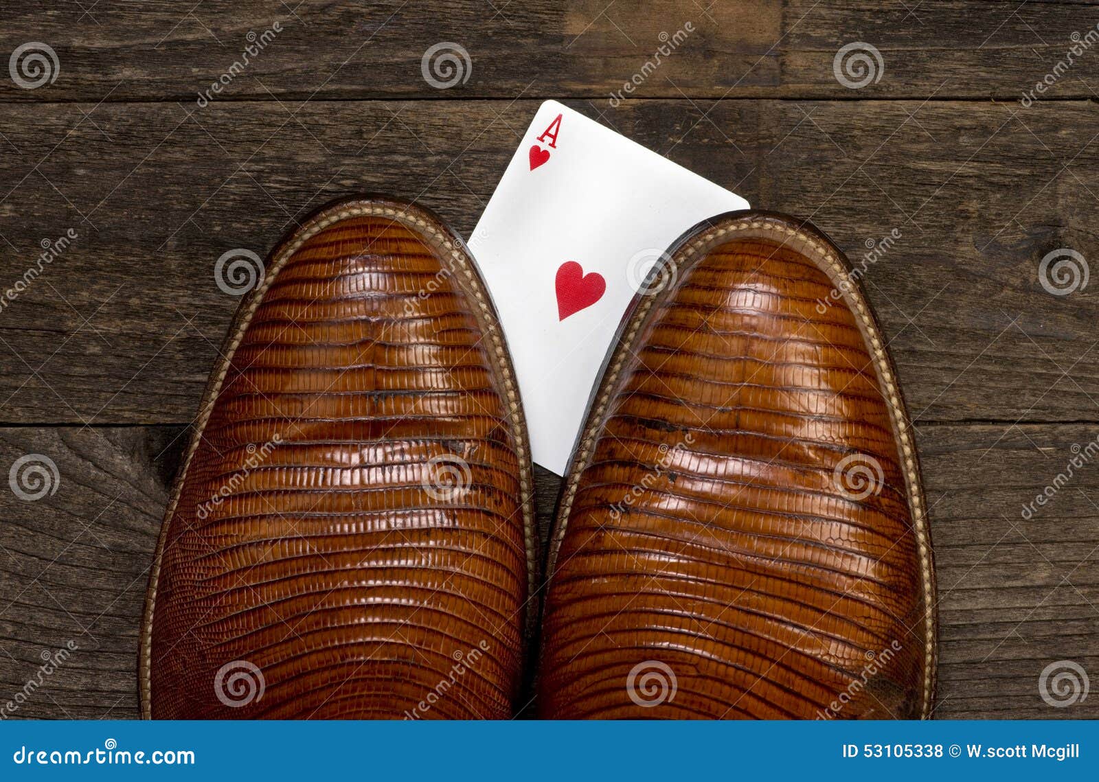 Poker player. stock photo. Image of gambling, poker, bluff - 53105338