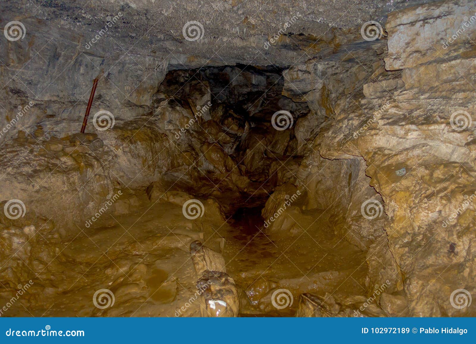 Pokhara, Nepal - September 12, 2017: Close Up of Some Water Stagnant ...