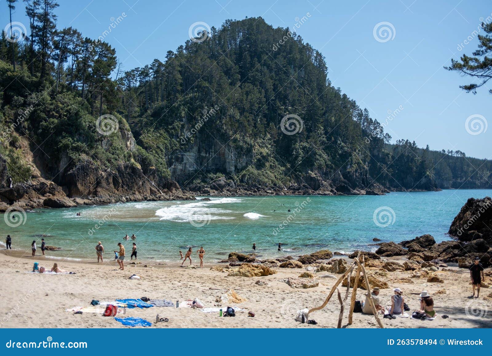 Pokohino Beach, Coromandel editorial stock image. Image of travel ...