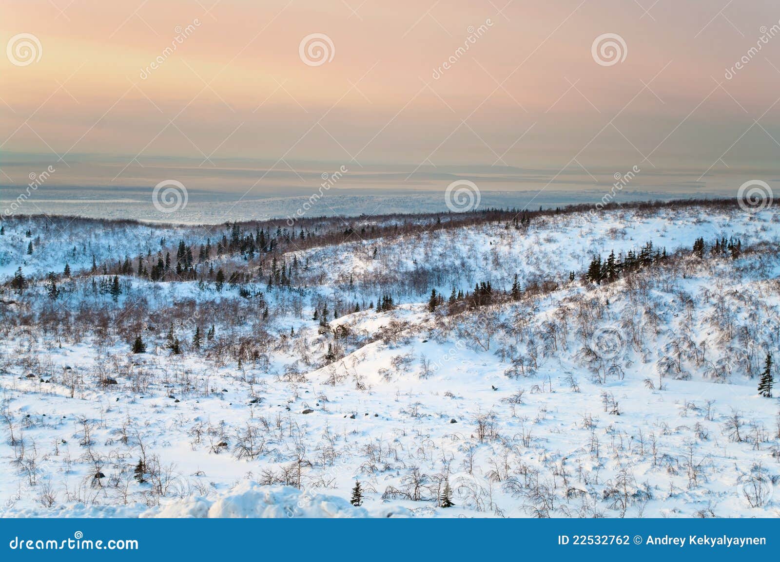 Polaire nacht in toendra stock foto. Image of stijging - 22532762