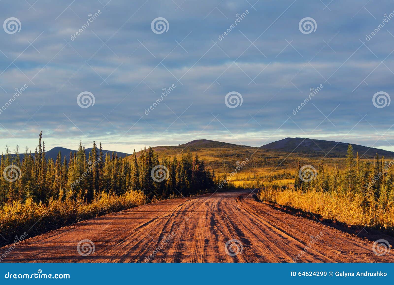 Polaire toendra stock afbeelding. Image of nave, canada - 64624299