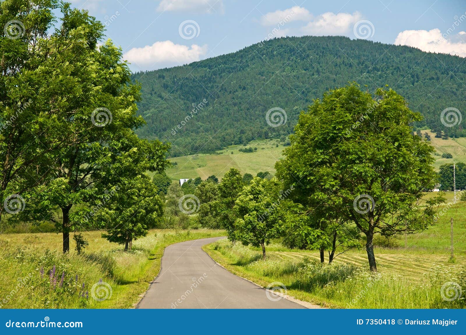Poland, Bieszczady, Bystre stock photo. Image of panorama - 7350418