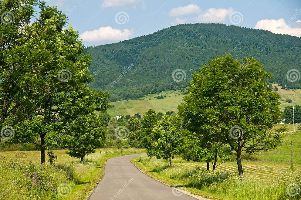 Poland, Bieszczady, Bystre stock photo. Image of panorama - 7350418
