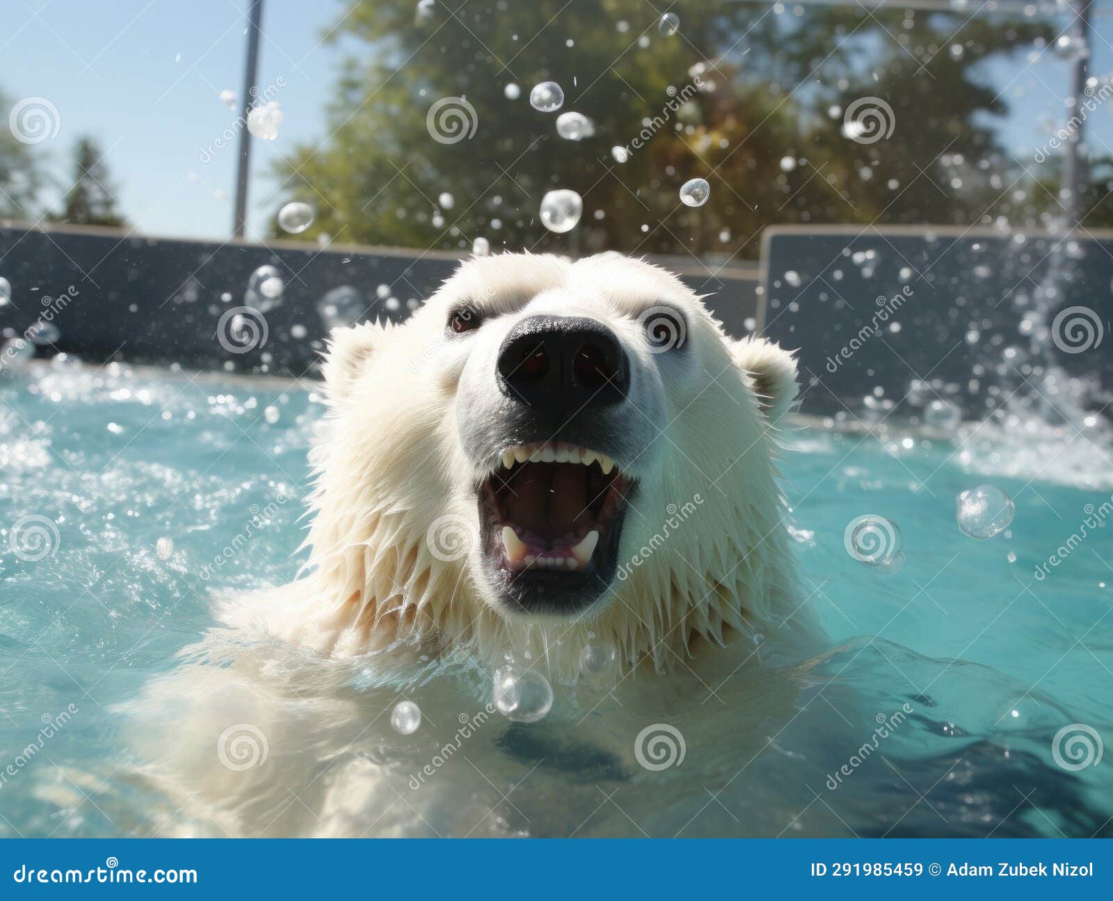 A polar bear in a pool stock illustration. Illustration of water ...