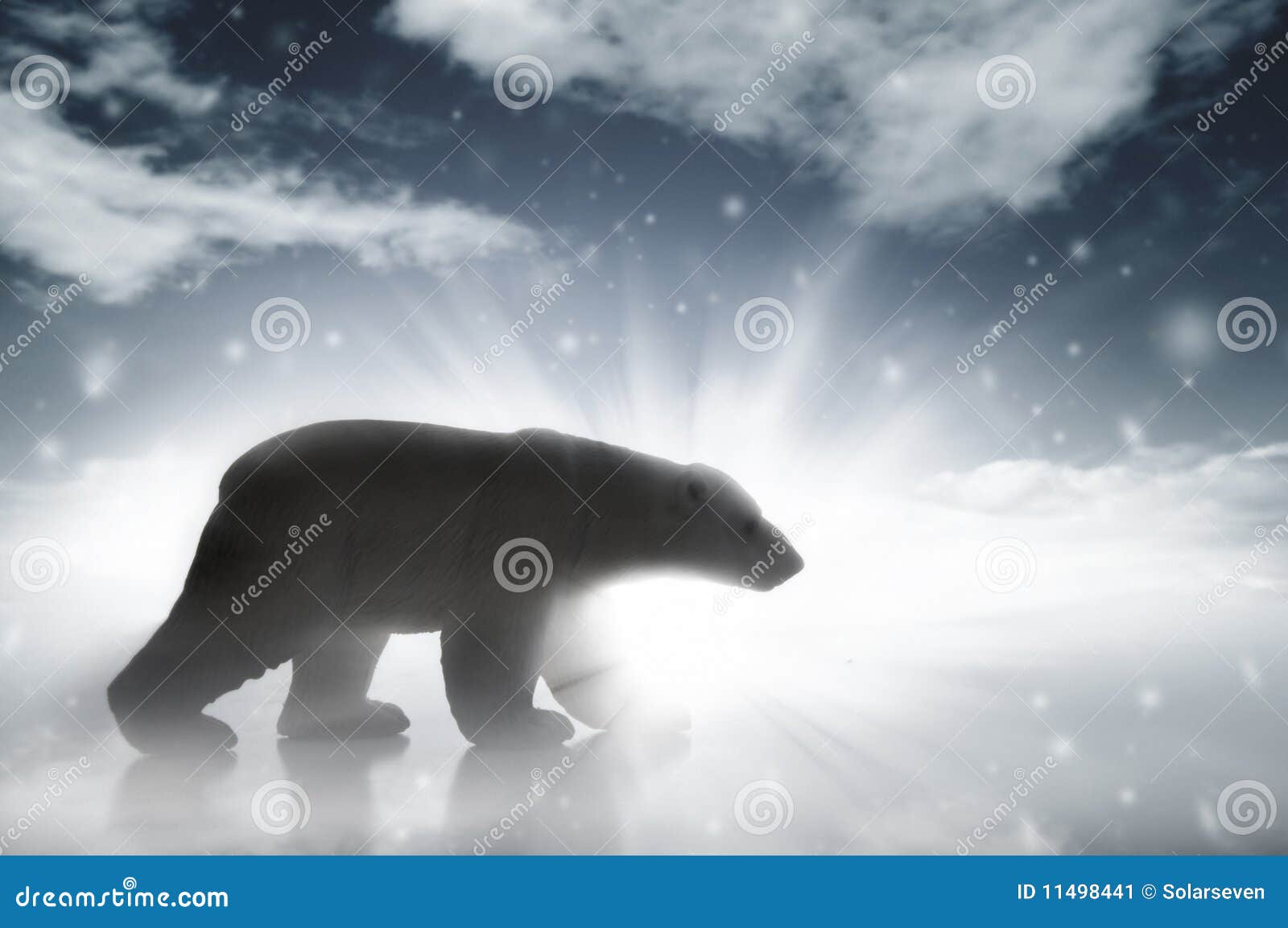 Polar Bear in a Snow Storm stock image. Image of bear - 11498441